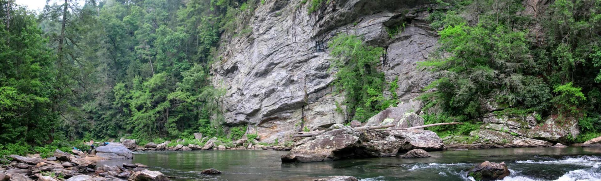 Oconee's National Forest - Visit Oconee South Carolina