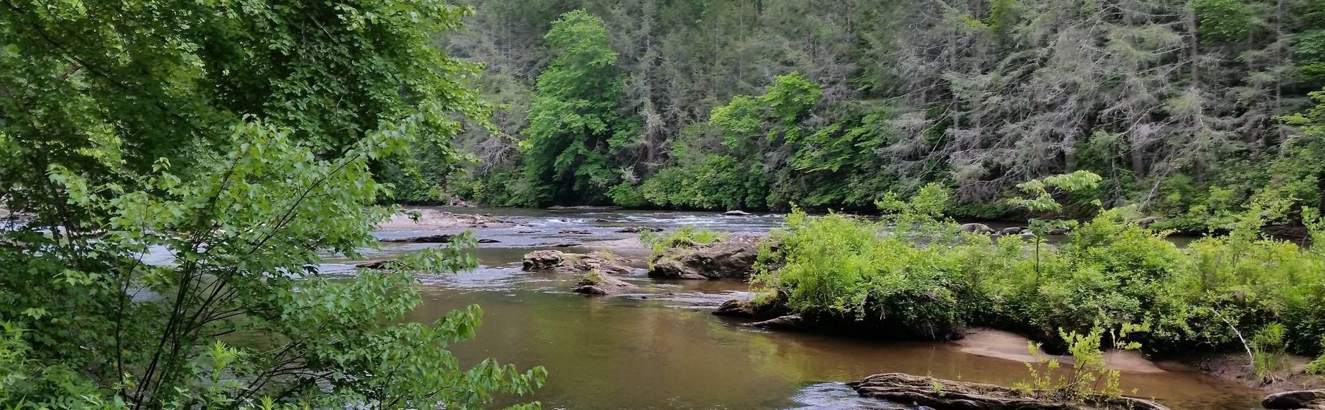 Get out and visit YOUR National Forest! - Visit Oconee South Carolina