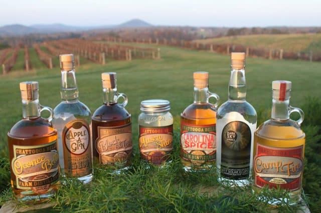 Two Horse Distillery - Visit Oconee South Carolina