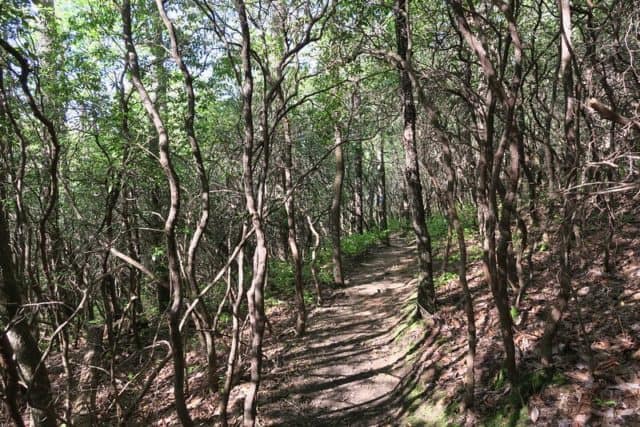 Devils Fork State Park - Visit Oconee South Carolina