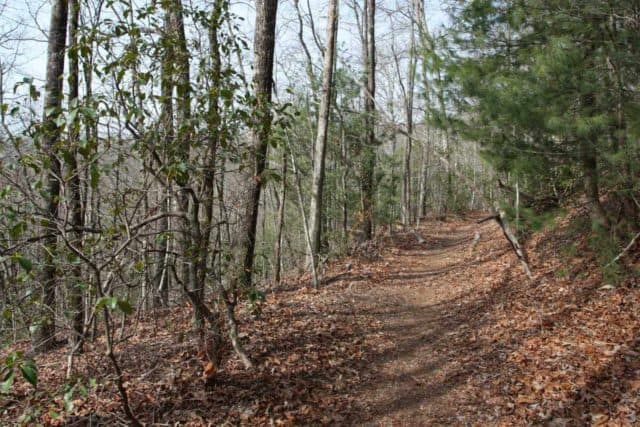 Winding Stairs Trail - Visit Oconee South Carolina