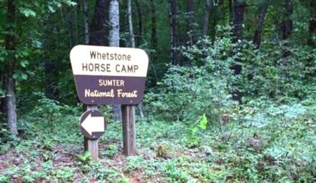 Horse Riding - Visit Oconee South Carolina