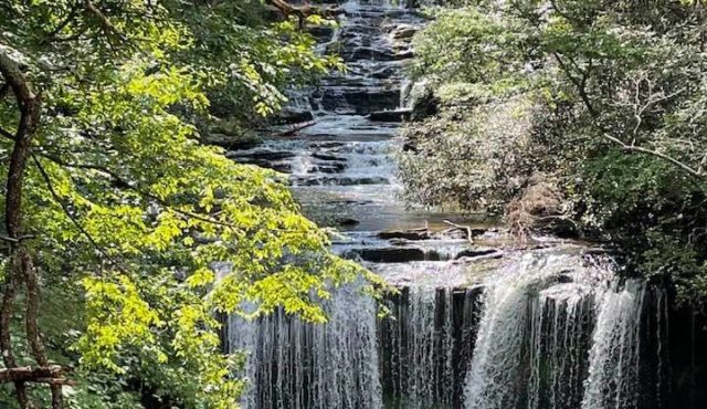 Improved Trails to Brasstown Falls - Visit Oconee South Carolina