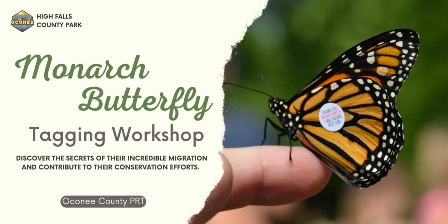 Monarch Butterfly Tagging Workshop - Visit Oconee South Carolina