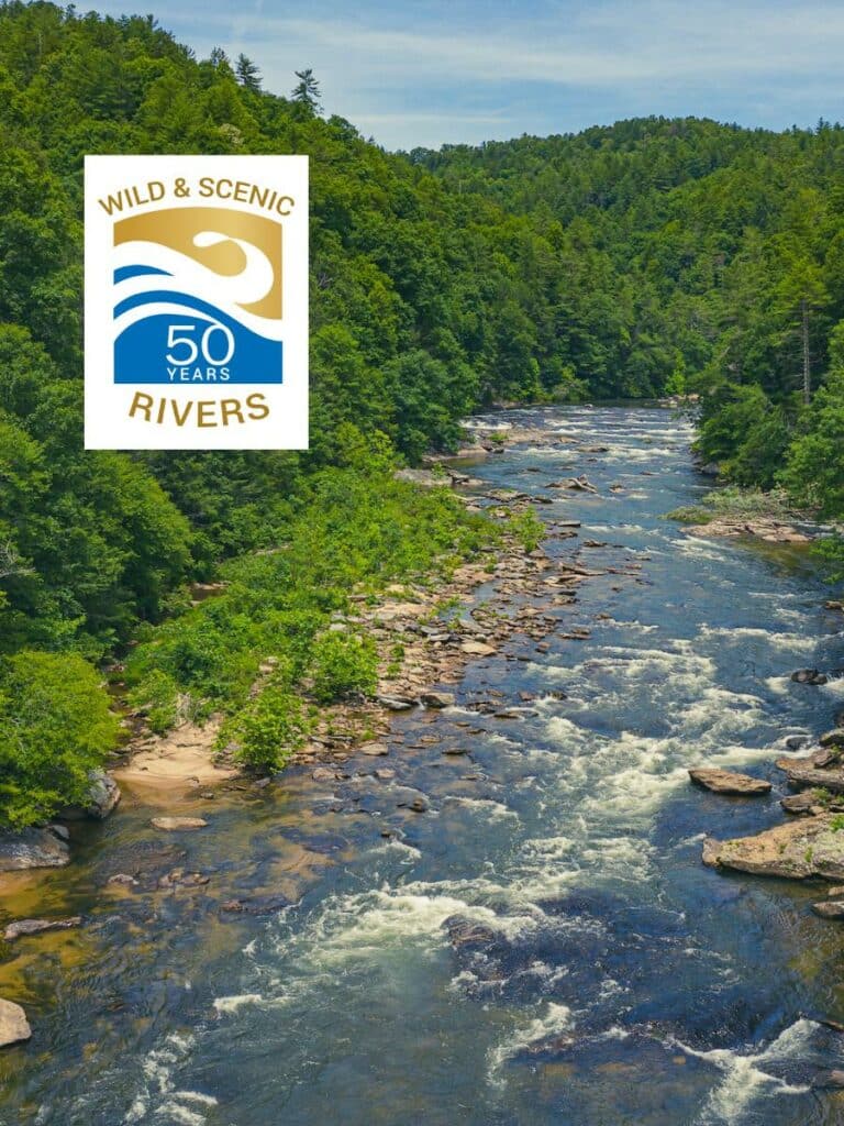 The Wild & Scenic Chattooga River | Visit Oconee South Carolina