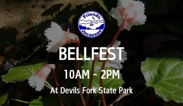 Events - Visit Oconee South Carolina